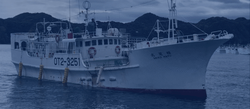 Shoda Marine | Japanese Vessels & Boat Dealer